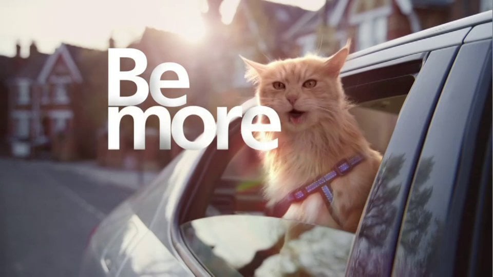 O2 Be More Dog High Res Mov 1920x1080 on Vimeo