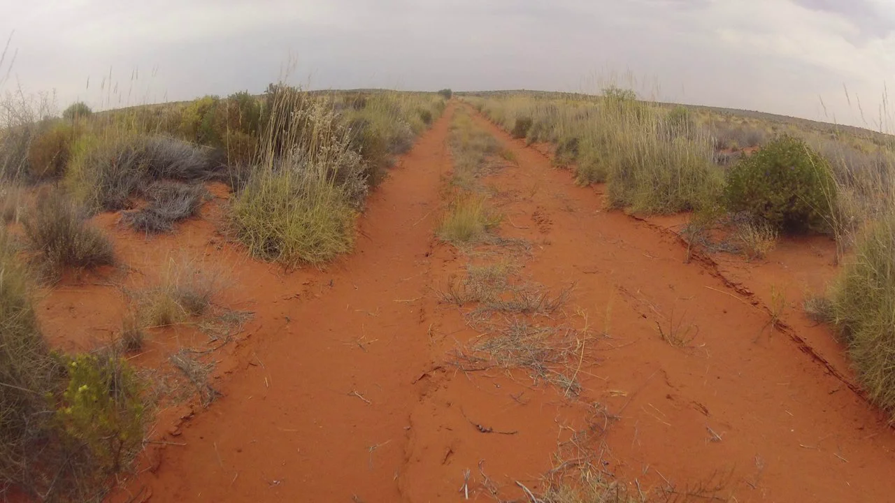 Simpson Desert - French Line, Rig Road, WAA Line