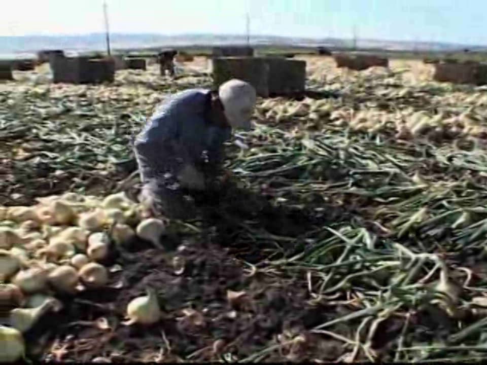 Sweet Story on Vimeo