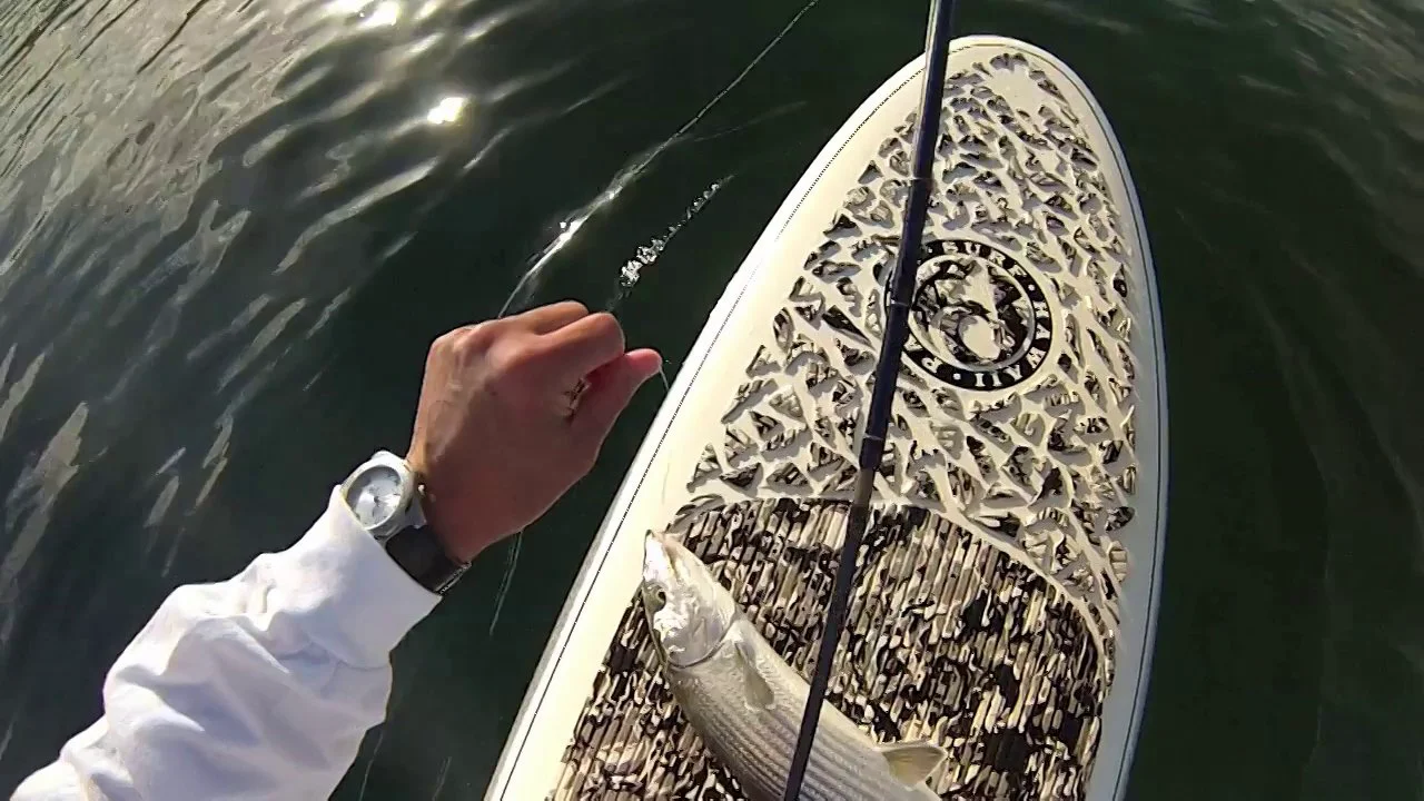 Bonefish on Fly from a SUP on Vimeo