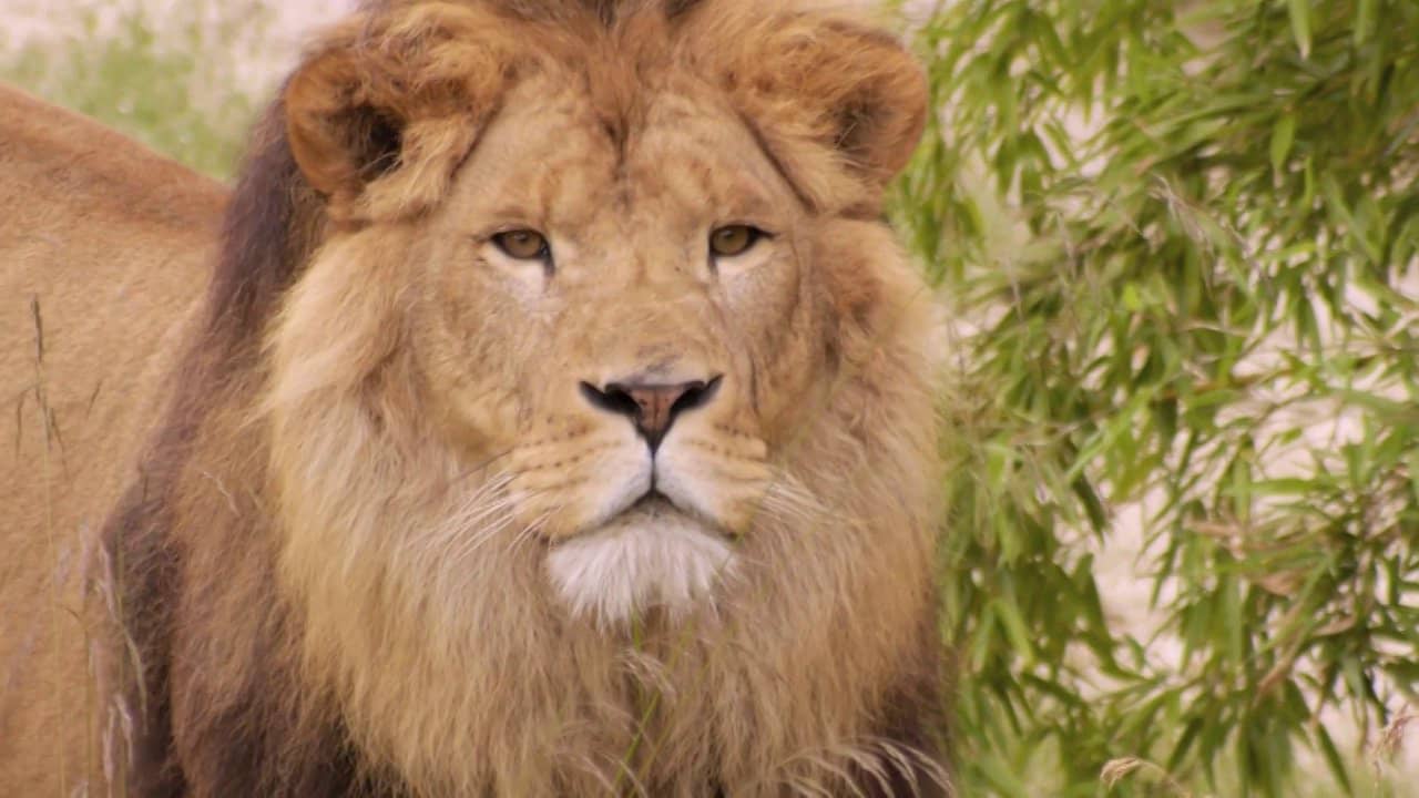 A day at the ZOO on Vimeo