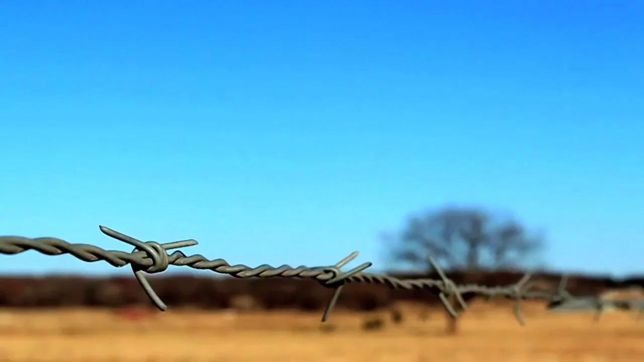 Sonya Barrett Reel on Vimeo