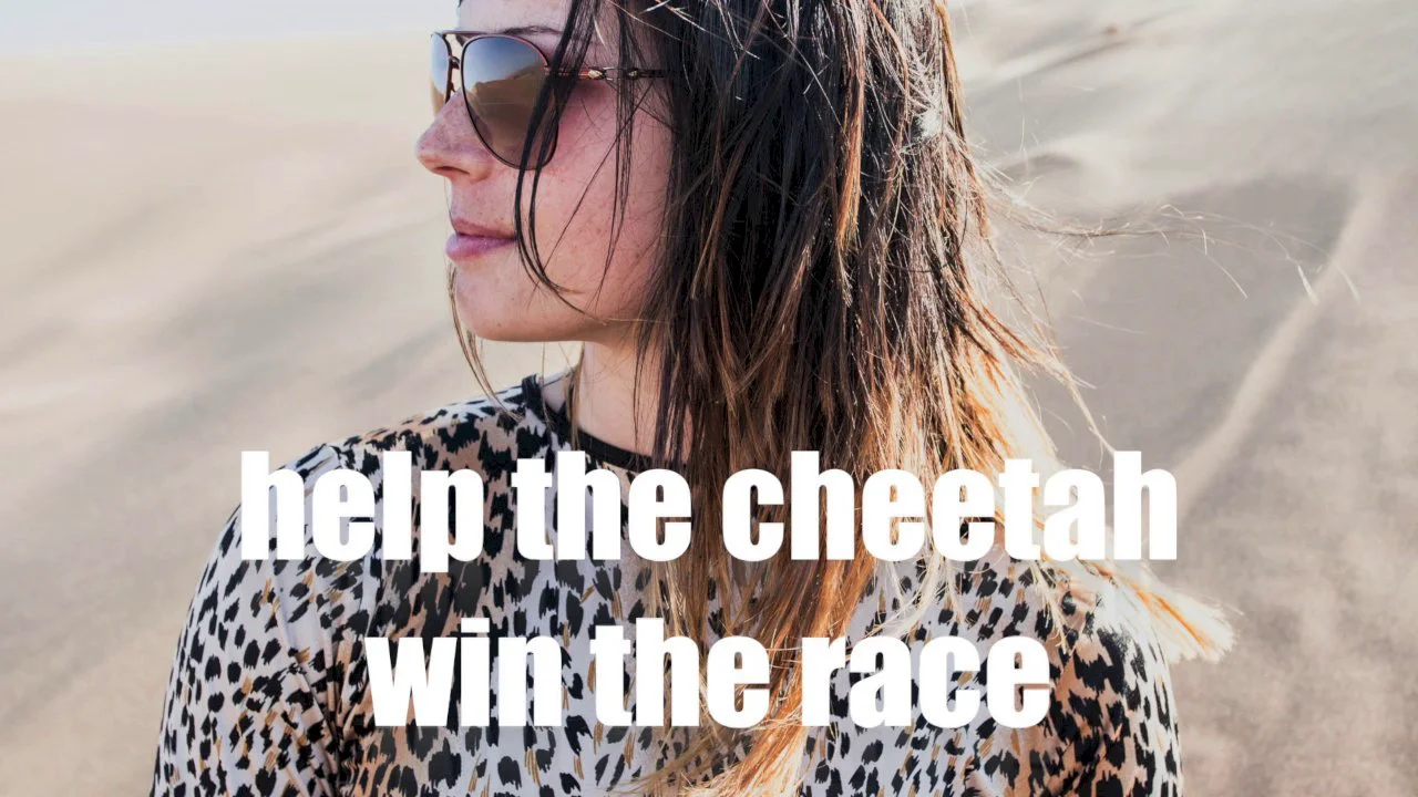 Anna Fenninger - European Ambassador for CCF - Cheetah Conservation ...