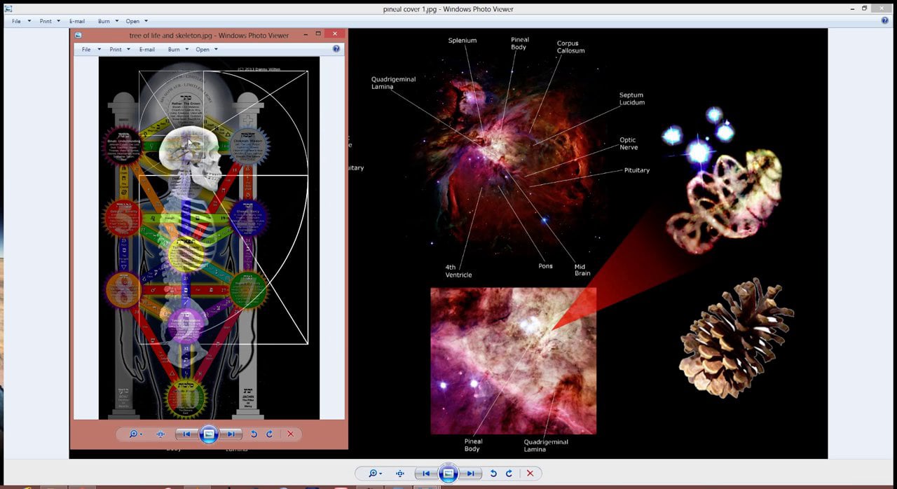 Down The Rabbit Hole - Macroprosopus, Orion Nebula, & The Brain on Vimeo