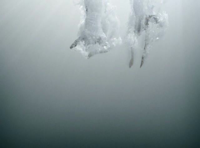 Gera Vodka Udnerwater