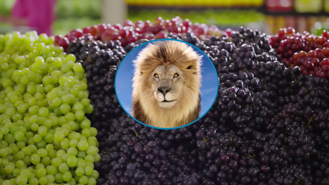 COMEDY/HUMOR - Food Lion "Grapes" on Vimeo