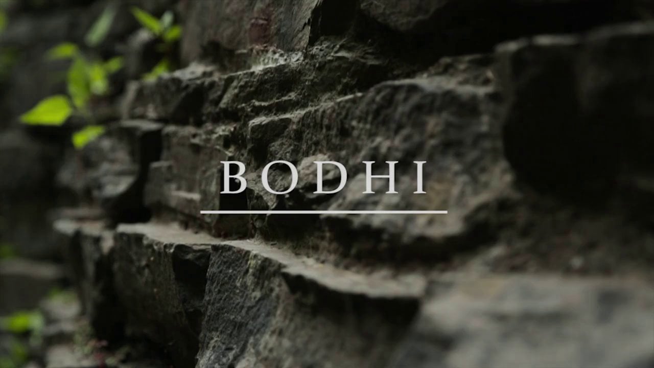 Bodhi on Vimeo