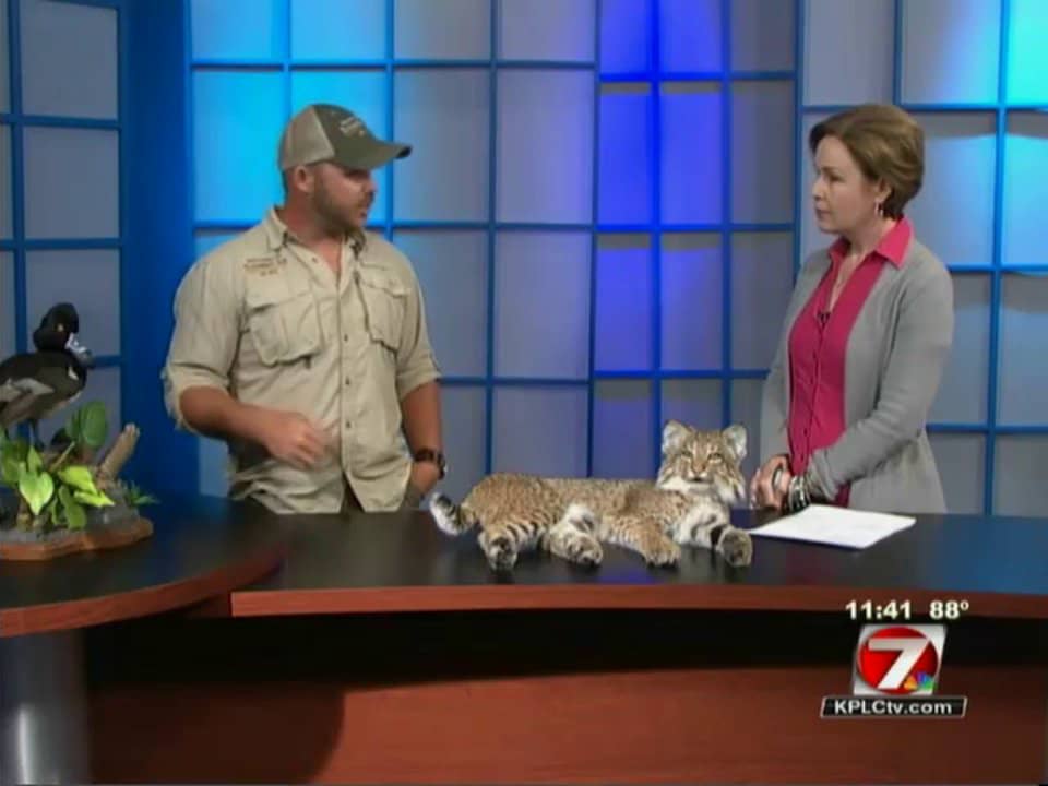 Steve German's Taxidermy Art - KPLC Man Expo on Vimeo