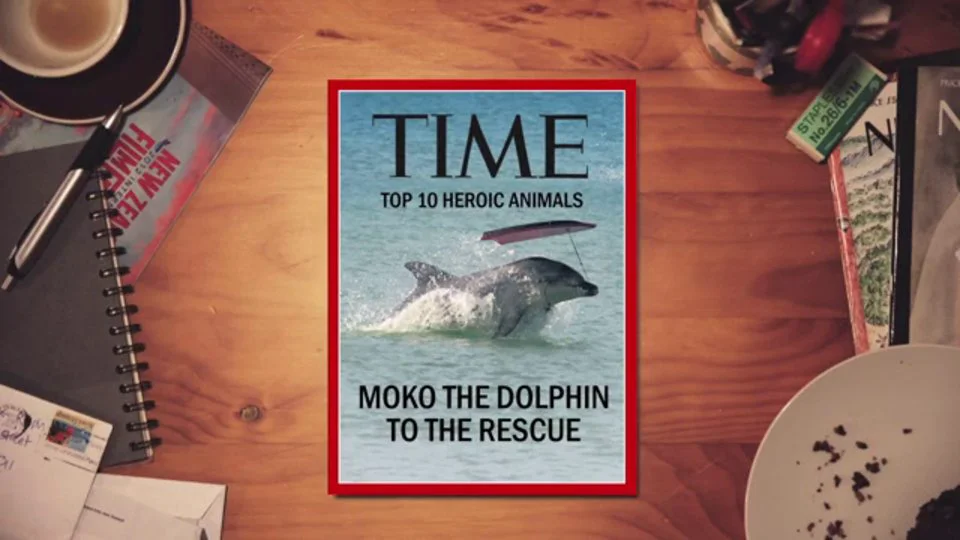MOKO THE DOLPHIN SAVING WHALES! (ANIMATION)