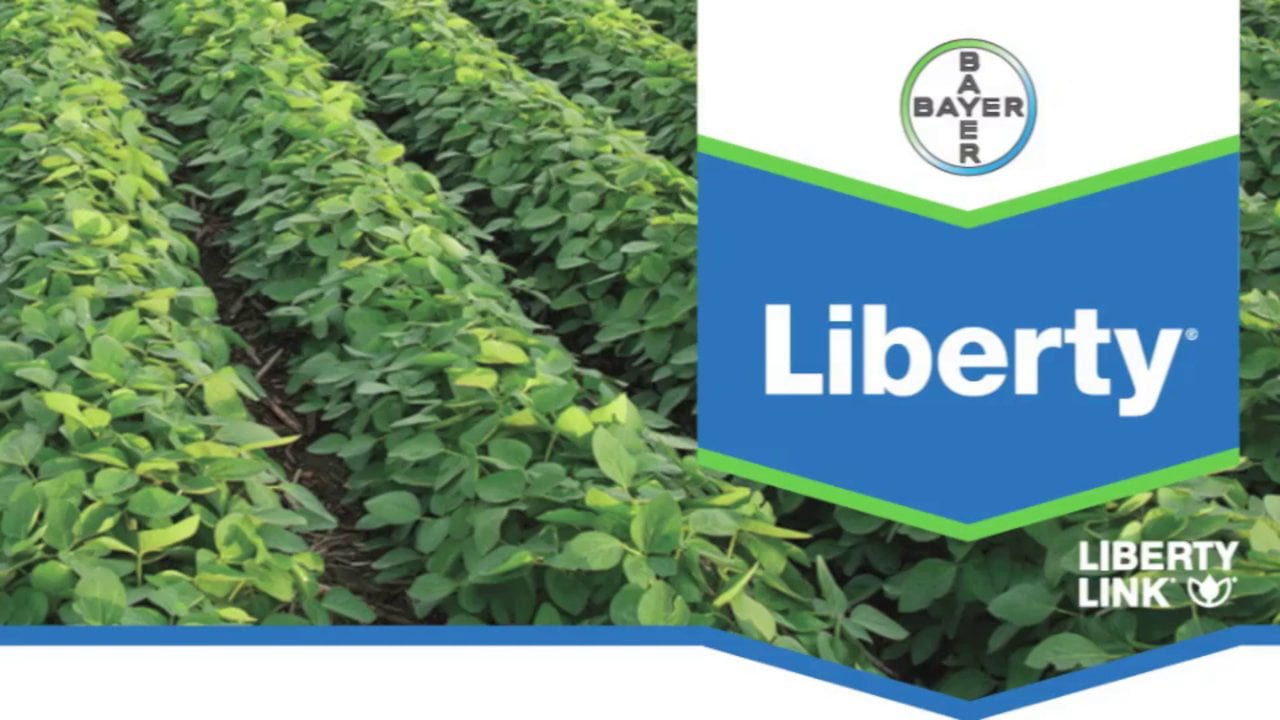 Liberty Herbicide with LibertyLink - 2014 Product Guide on Vimeo