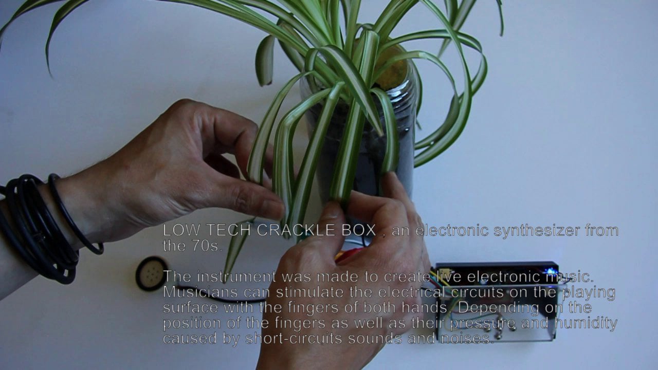 cassette_ CRACKLE BOX+Plants, electronic synthesizer from the 70s. on Vimeo