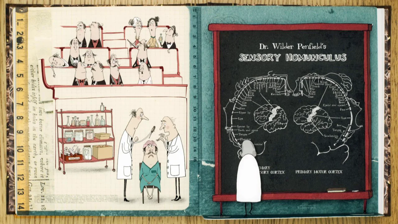 BBC Science Club Animation all about the Brain