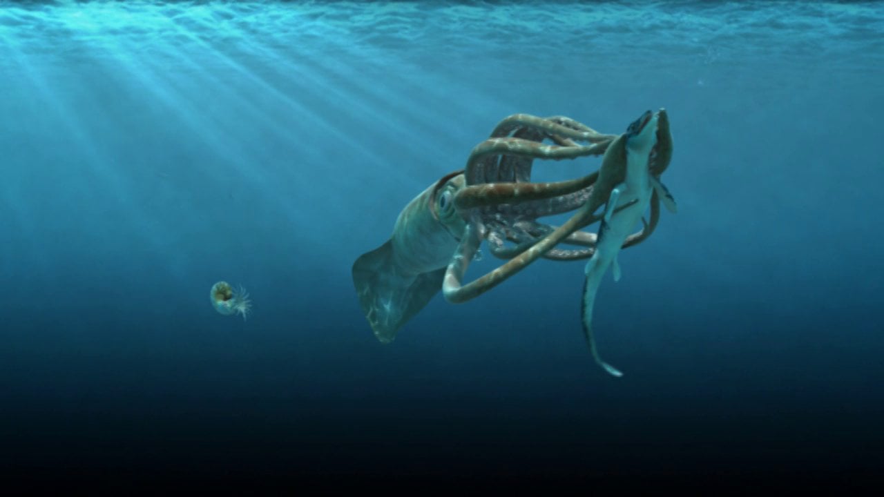 Mosasaurus vs octopus on Vimeo