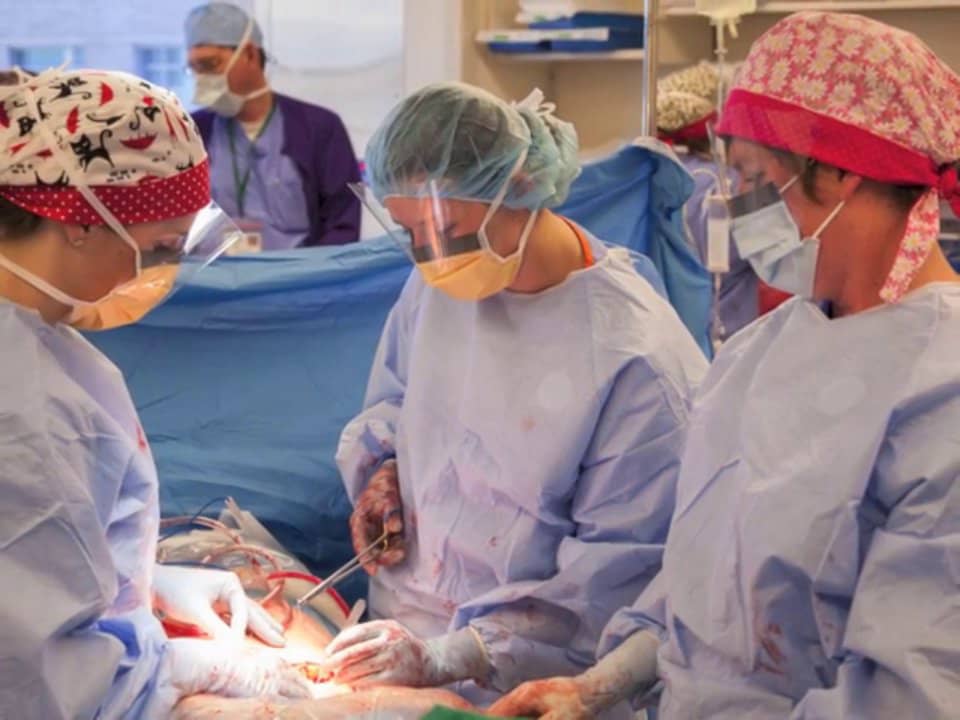 Surgical Orientation for Medical Students on Vimeo