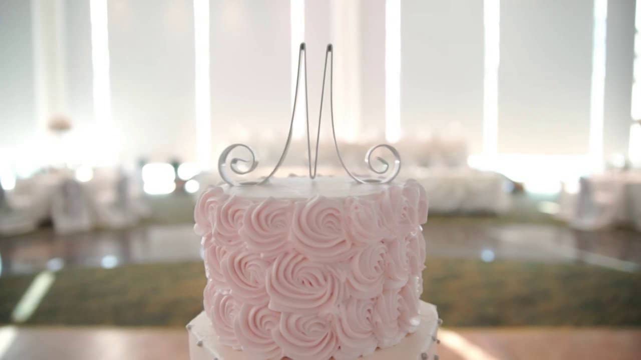 Maria & Dale Michonski Wedding Narrative on Vimeo