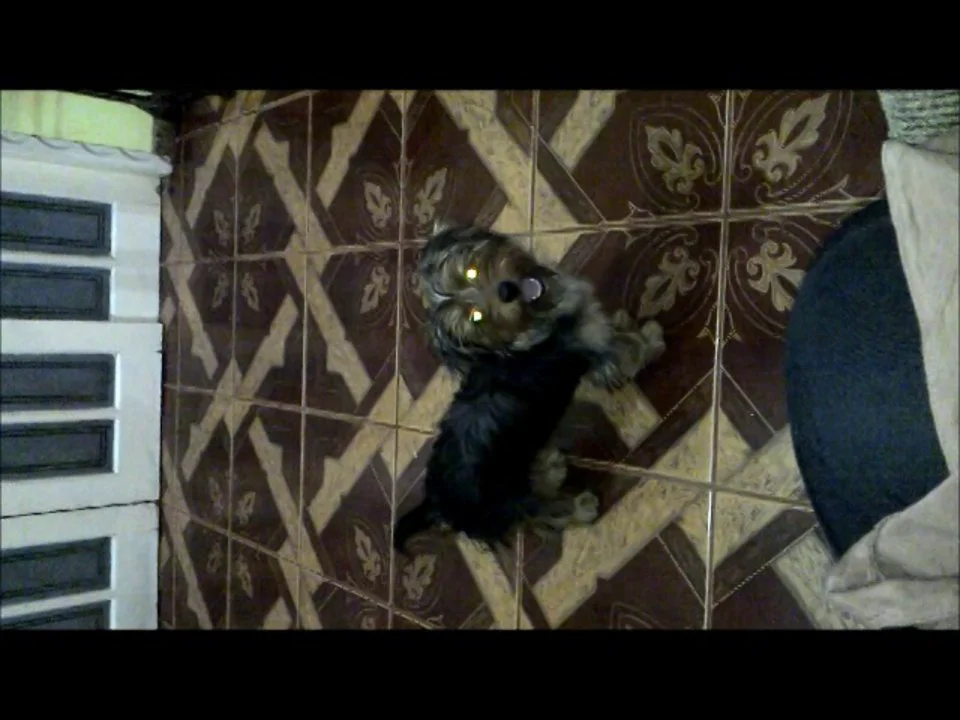 Aisha, serial killer. sqn! on Vimeo