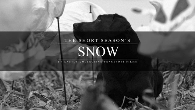 [The Short Season] on Vimeo