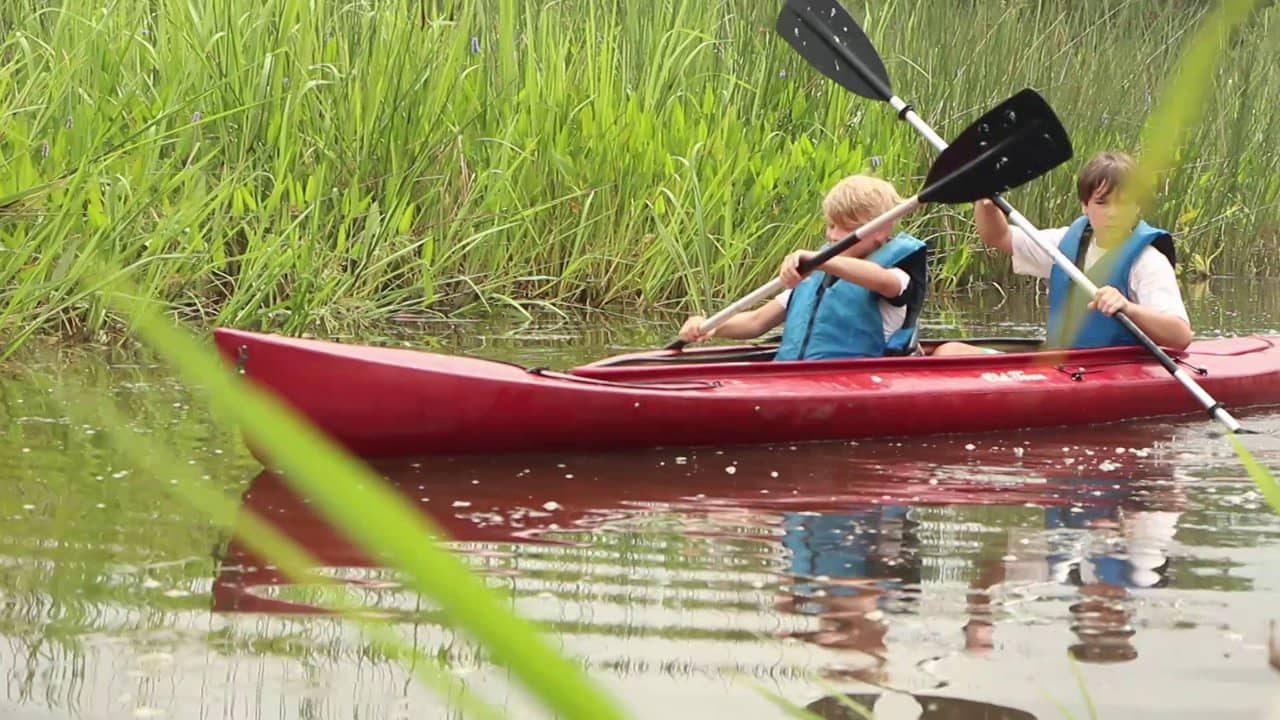 AIMS Commercial (vimeo) on Vimeo