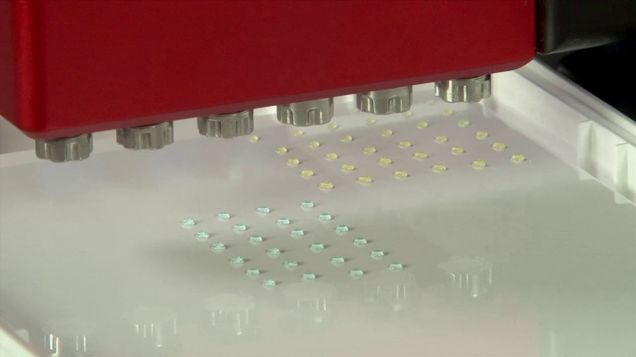 Gyger - Certus on Vimeo