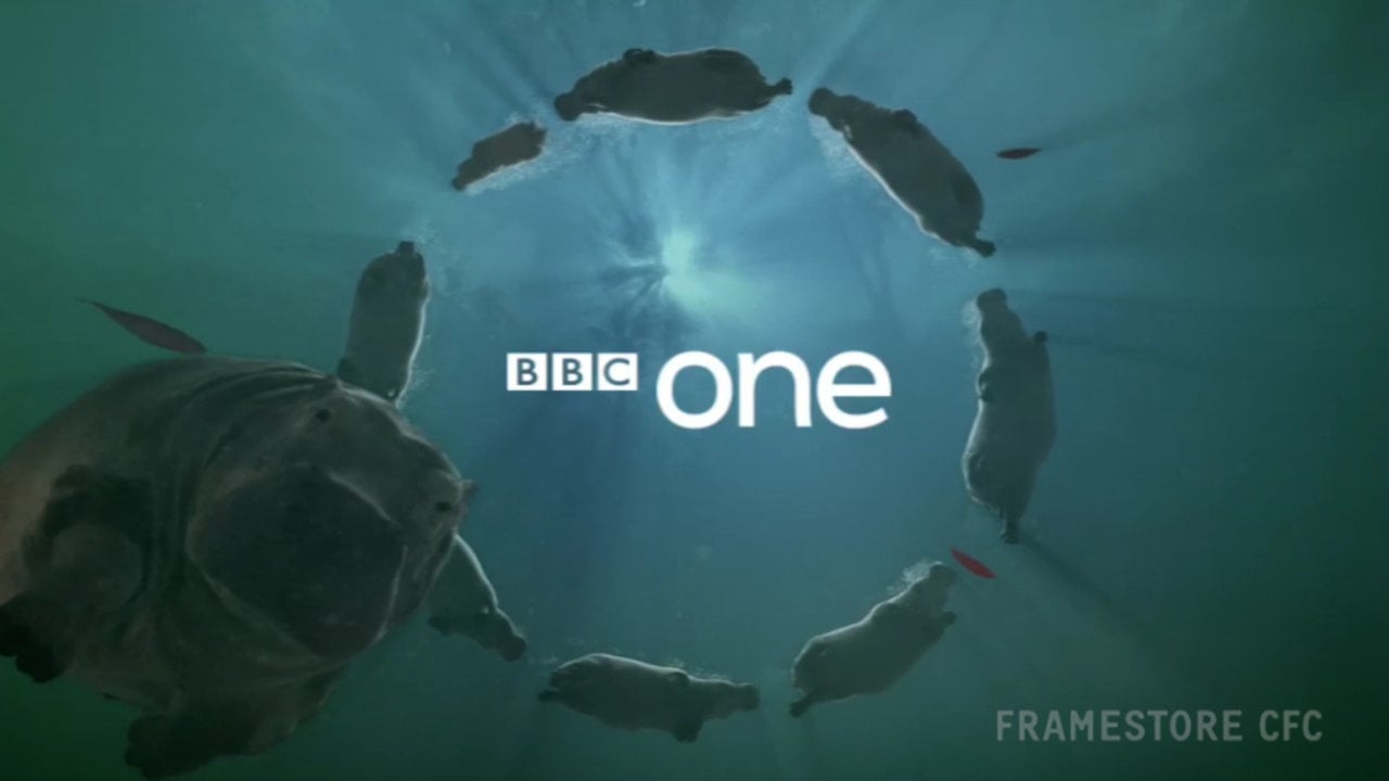 BBC Hippos Ident on Vimeo