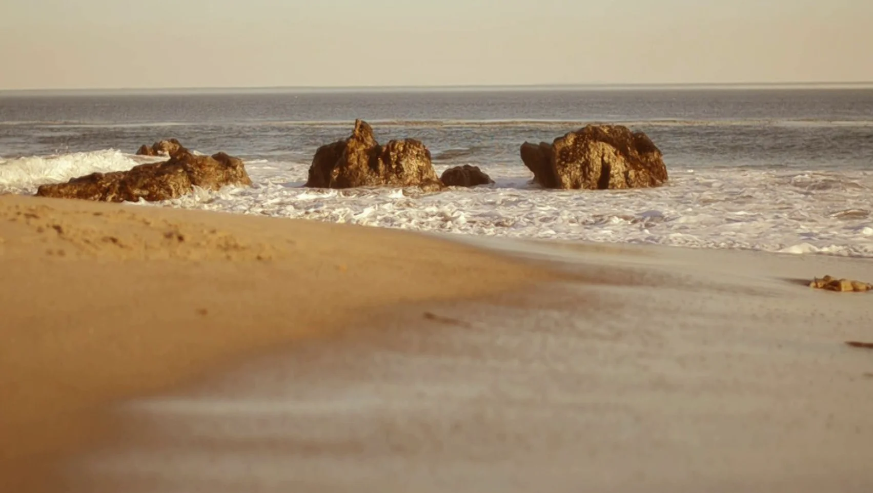 Rachel Elizabeth Murray on Vimeo