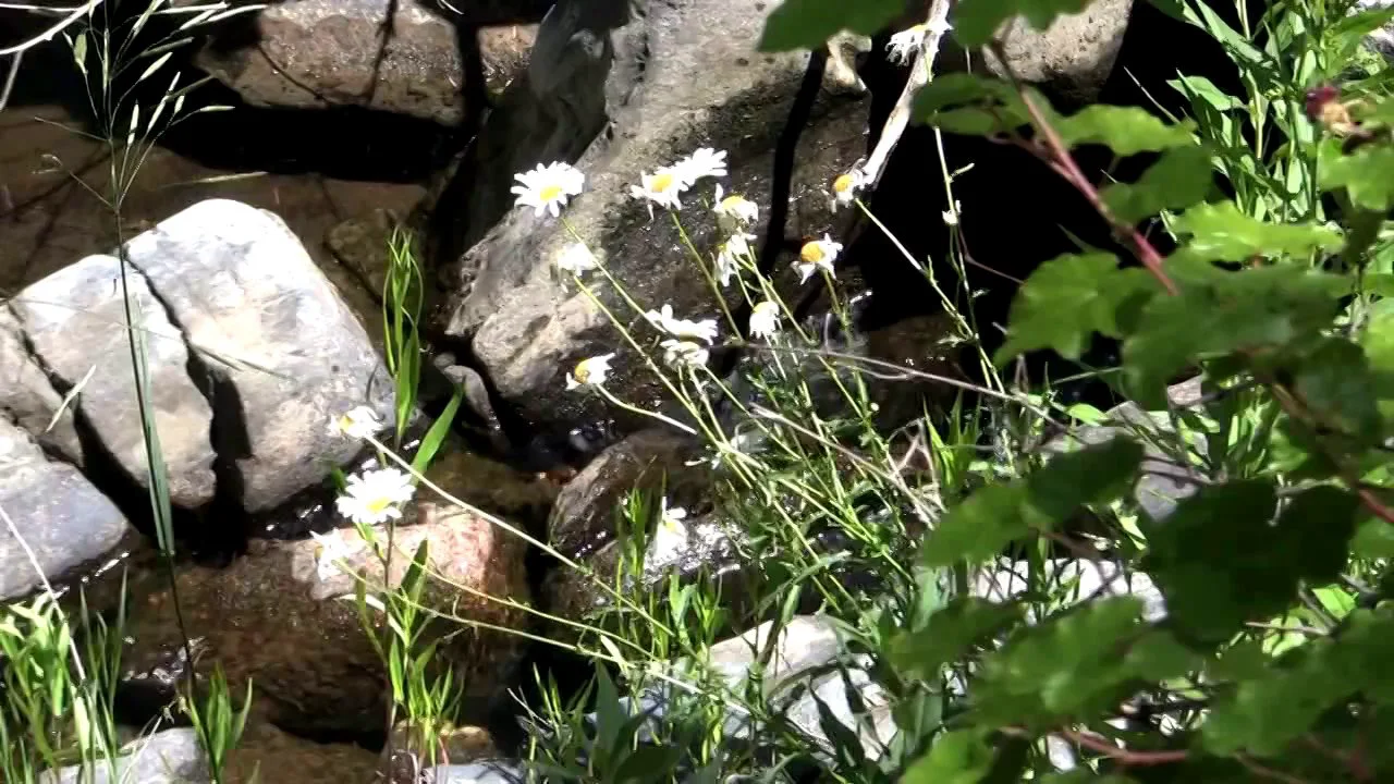 Hiking Beaver Brook Trail & Chavez Loop - Clear Creek Canyon, Colorado ...
