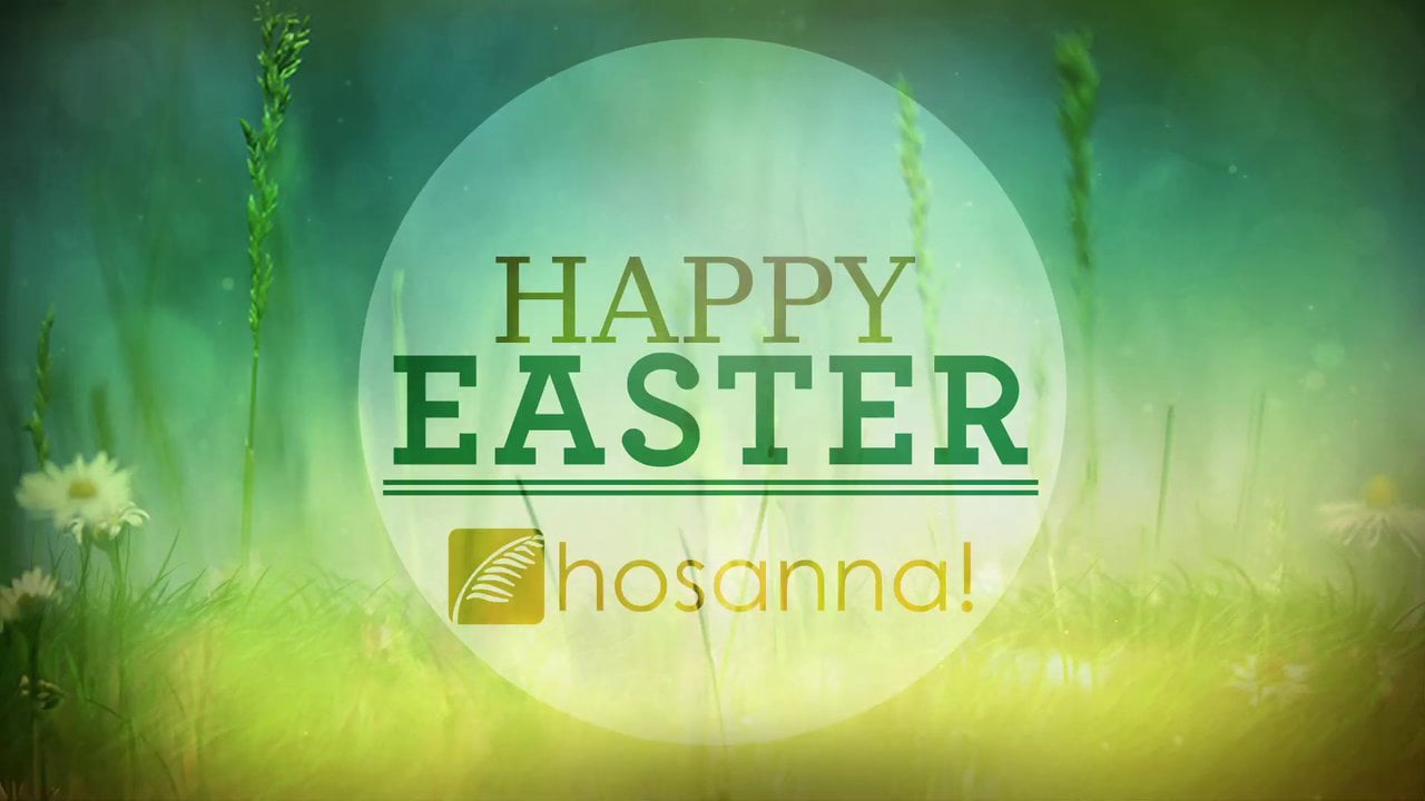 Easter Motion Loop on Vimeo