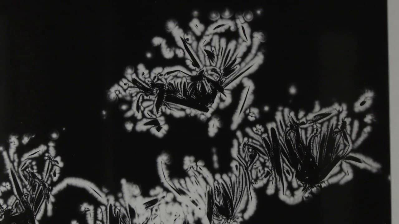 Mark D. Roberts-- Bakken Museum Exhibition of Kirlian Photography on Vimeo