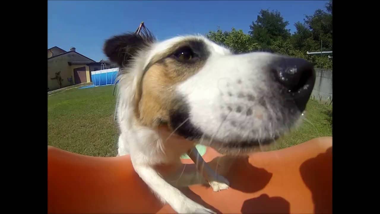 Leo, a chop and a GoPro on Vimeo