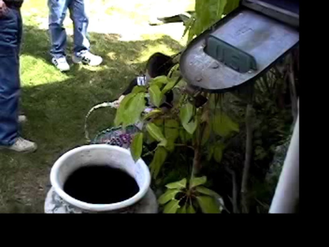 Easter 2002 on Vimeo