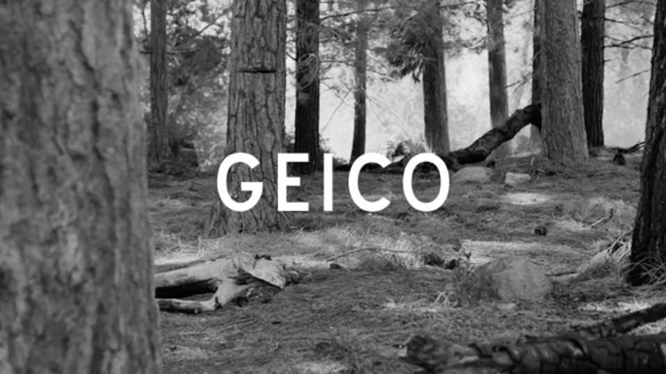 geico tree 1 on Vimeo