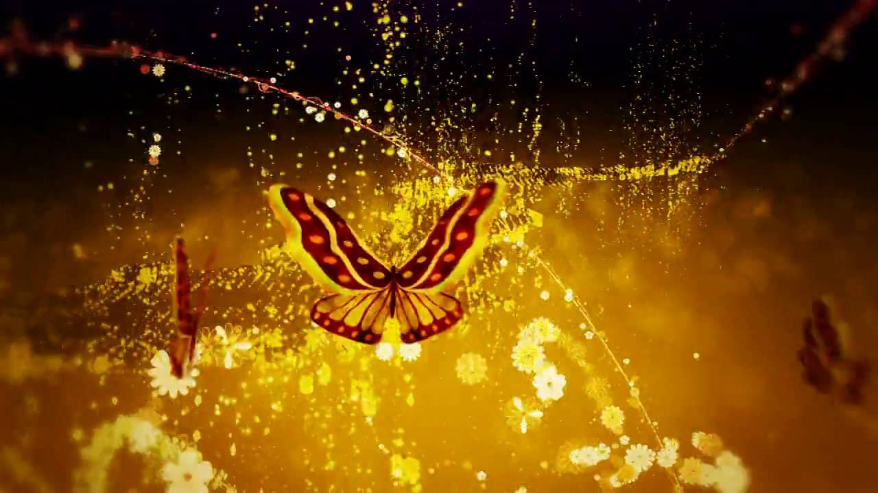 Japan with Trapcode magic on Vimeo