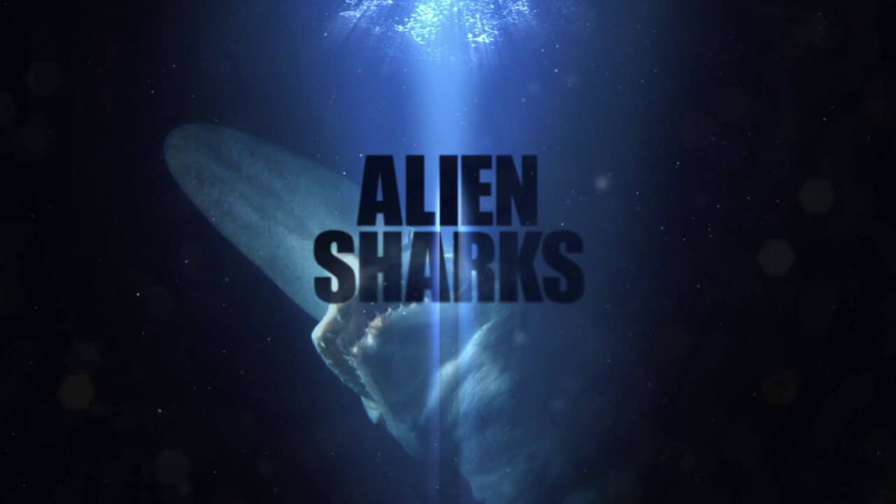 DISCOVERY SHARK WEEK ALIEN SHARKS on Vimeo