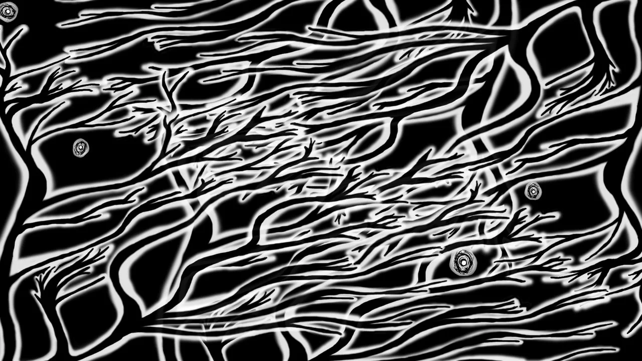 Hyperactive by Jennifer Ontiveros FS35 (13X) on Vimeo