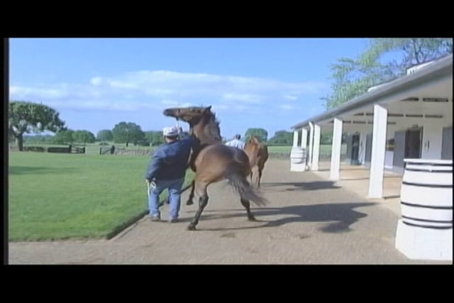 Editing Samples - Rokeby Farm on Vimeo