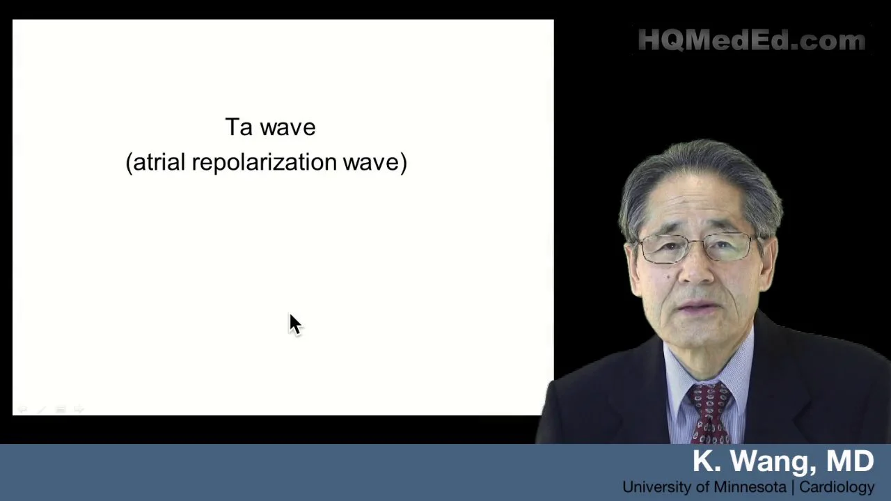 Ta Wave (Atrial Repolarization Wave) on Vimeo