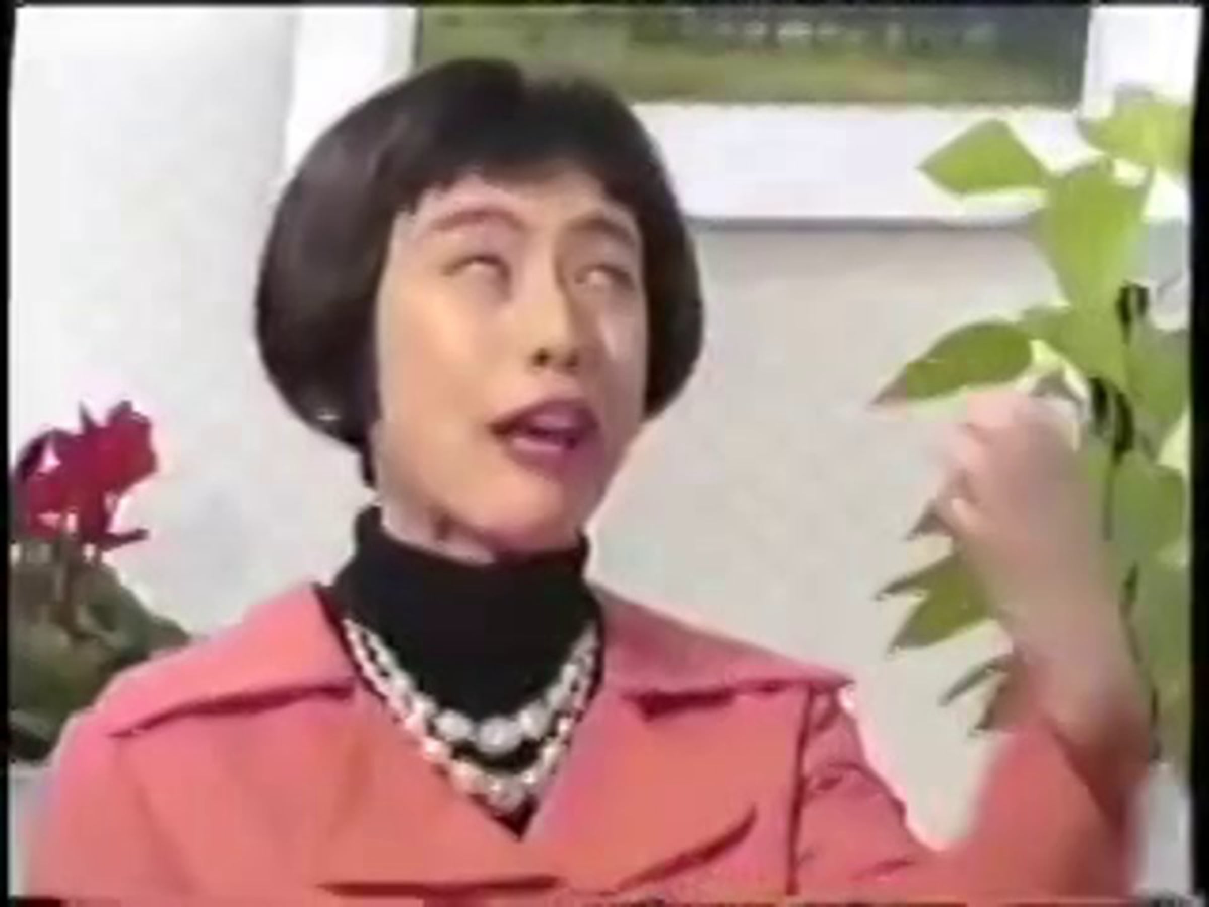 SCARLET HON ZONE （動画版）