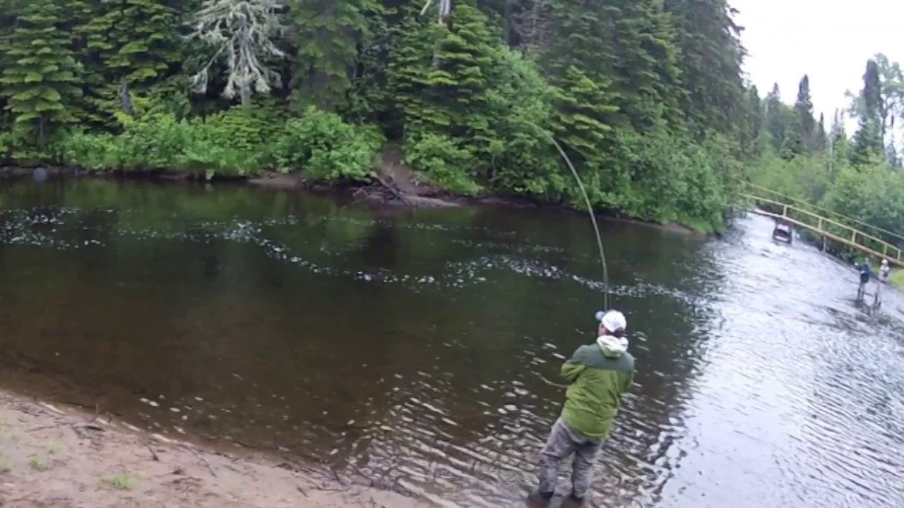 Fly Fishing for Big trout on Vimeo