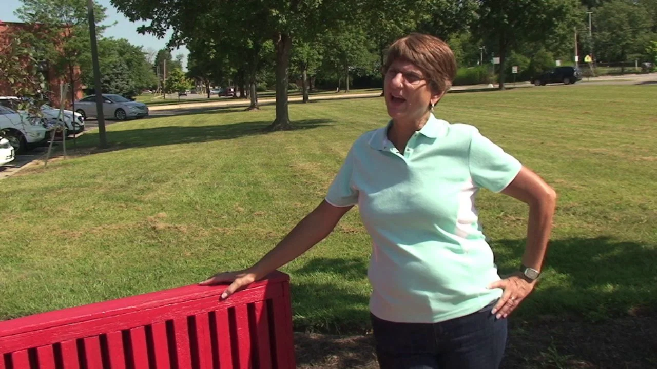 Diane Conley - Nancy Nestor-Baker for Westerville School Board on Vimeo