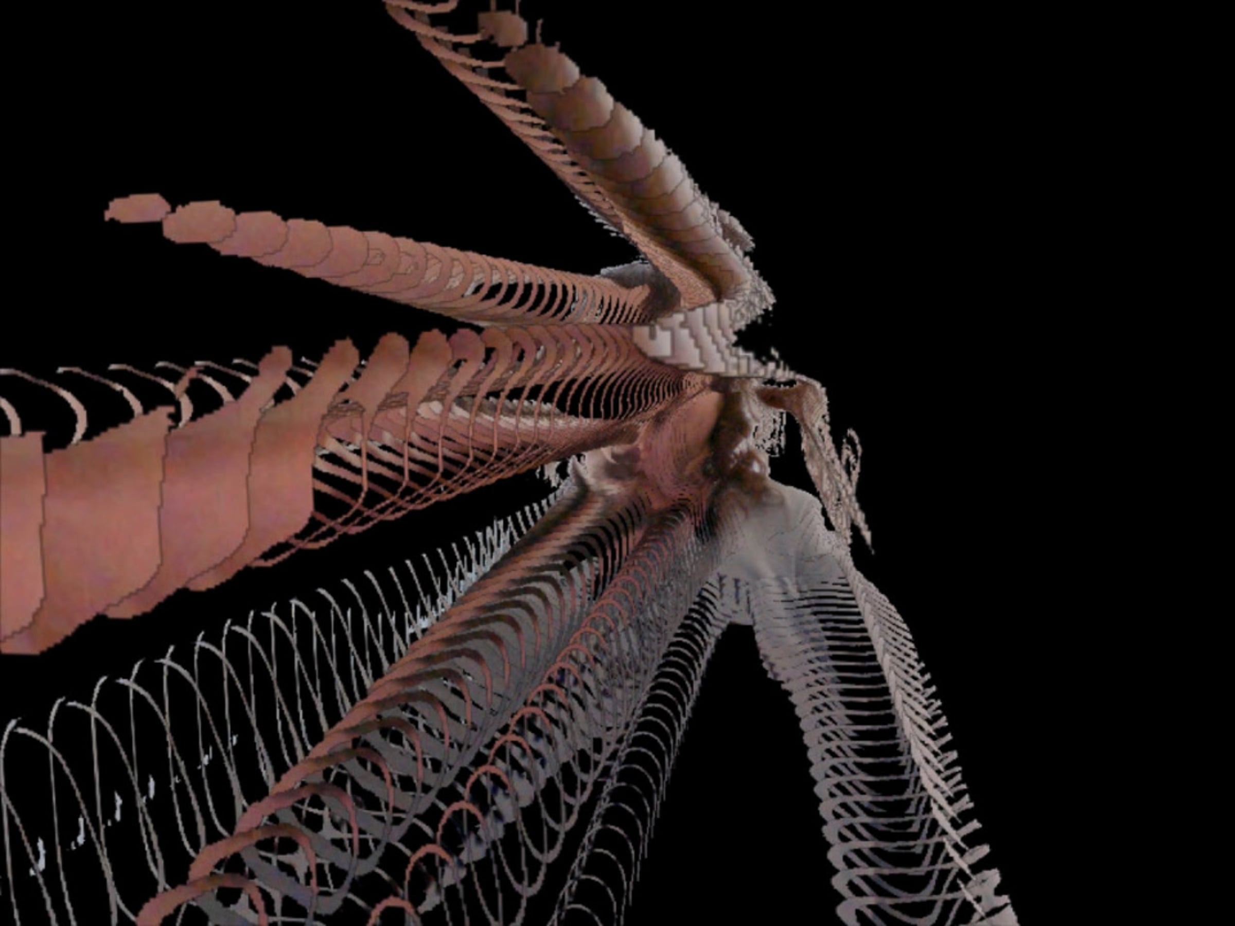 Slit scan : A photograph of Time