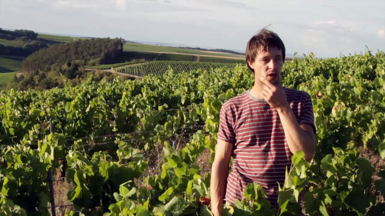 Adrien Roux -Parte I: Chablis, El laberinto del Chardonnay on Vimeo