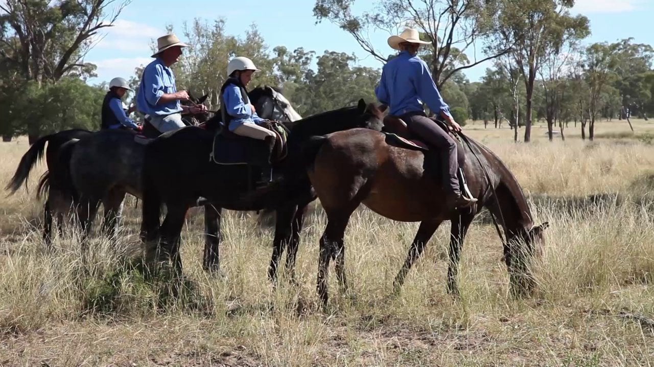 Texas Angus Stud on Vimeo