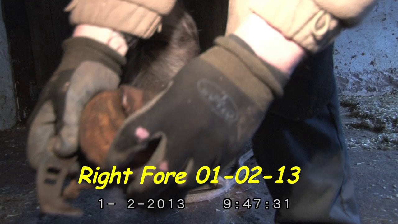 3rd Trim Part 2 01-02-13 RF 'Juta' on Vimeo