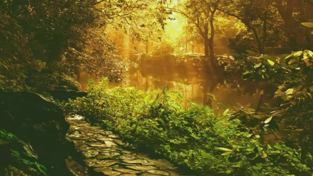 Enchanted Journey by Kevin Macleod (incompetech.com) on Vimeo