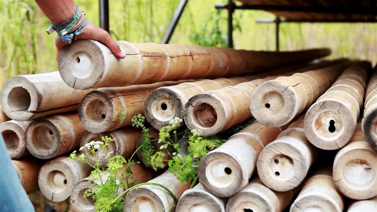 Meet Gerard Minakawa, Bamboo DNA | Videos & Movies on Vimeo
