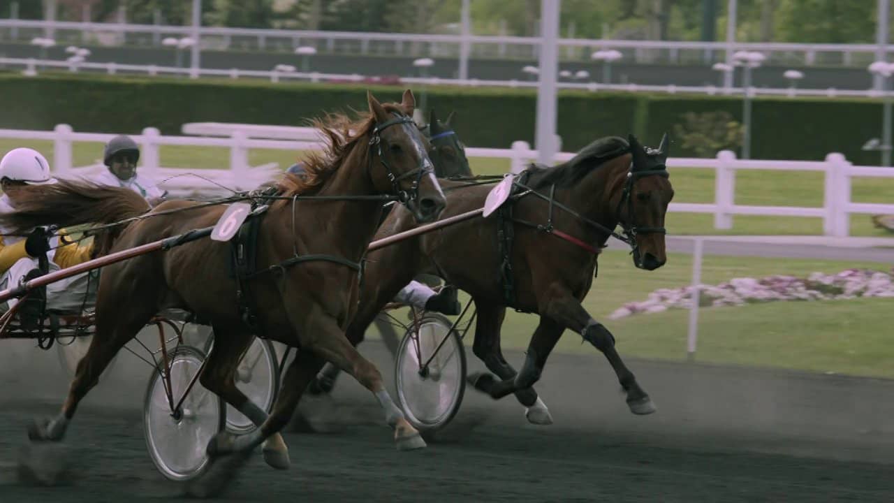 Tarok Trailer on Vimeo