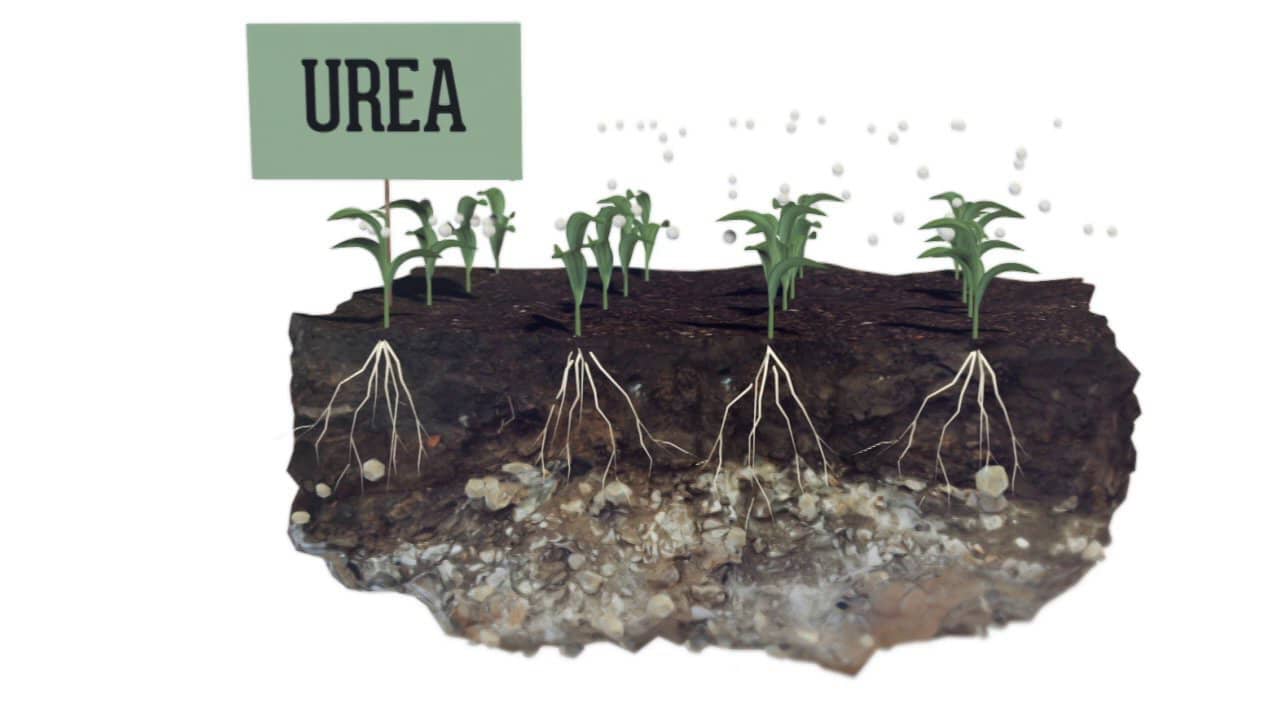 AGROTAIN® nitrogen stabilizer - Spanish on Vimeo
