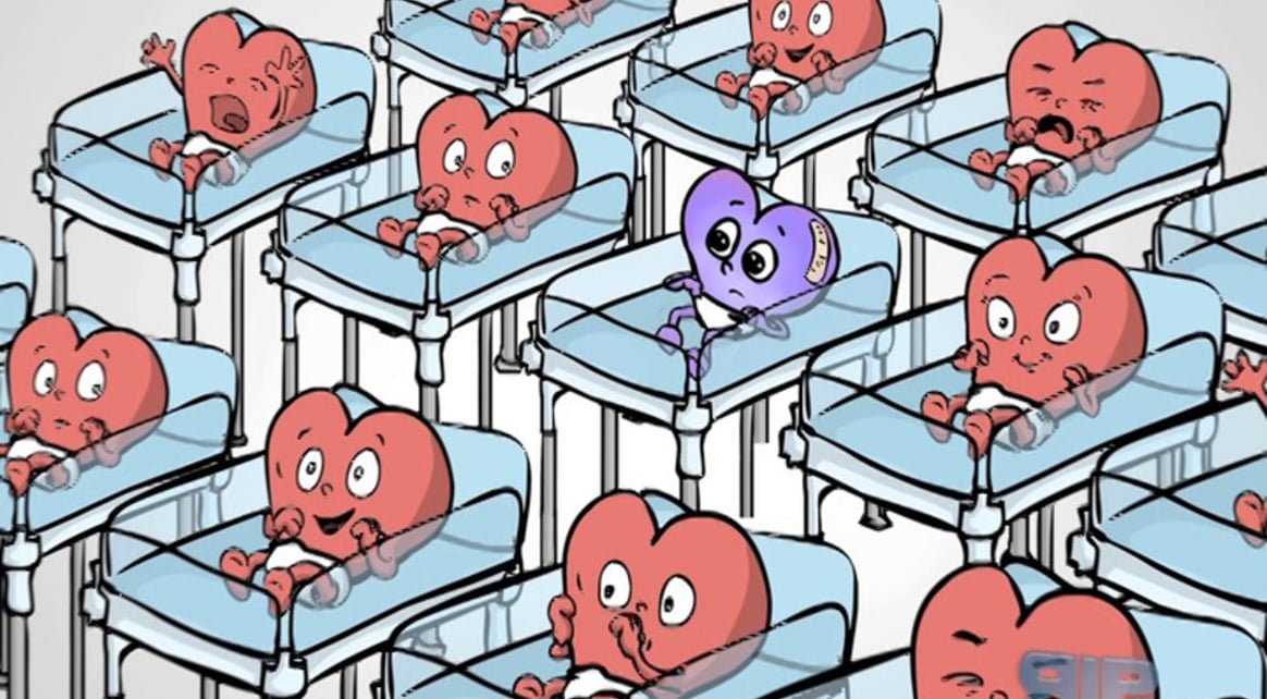 Baby Hearts: Congenital Heart Defect Explained. Whiteboard Animation by ...