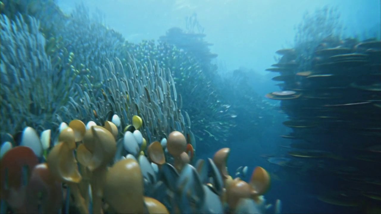 Whirlpool "Coral Reef" on Vimeo