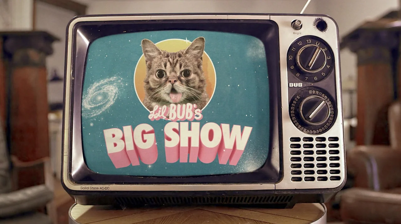 Lil Bub's Big Show - Opening on Vimeo